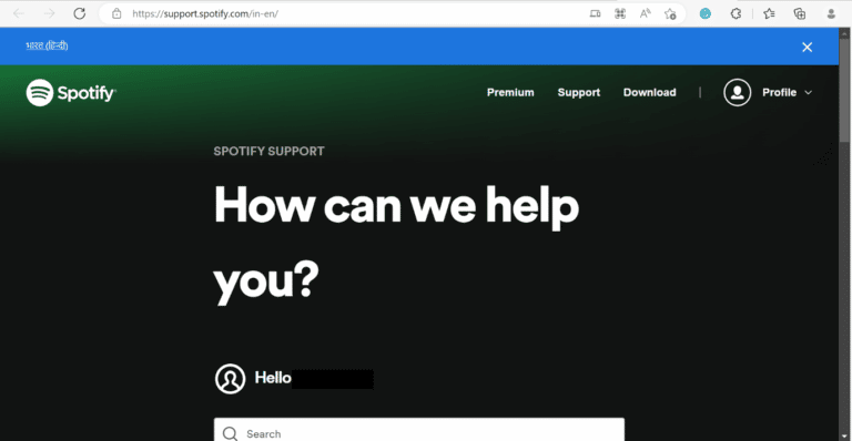 10 Ways to Fix Something Went Wrong Spotify Error on Windows 10 – TechCult