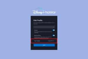How to Change Language on Disney Plus Roku TV – TechCult