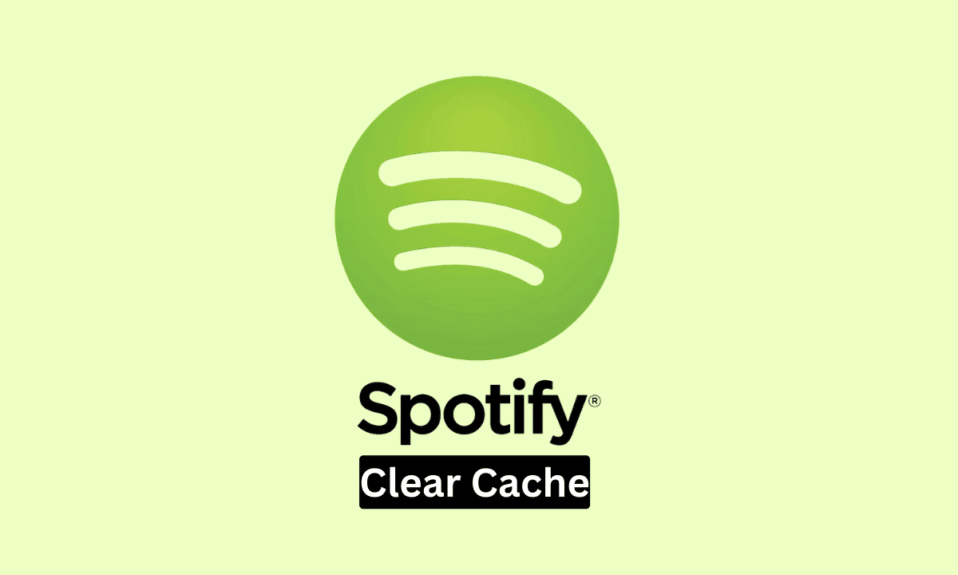 How To Clear Spotify Cache In Windows 10 TechCult
