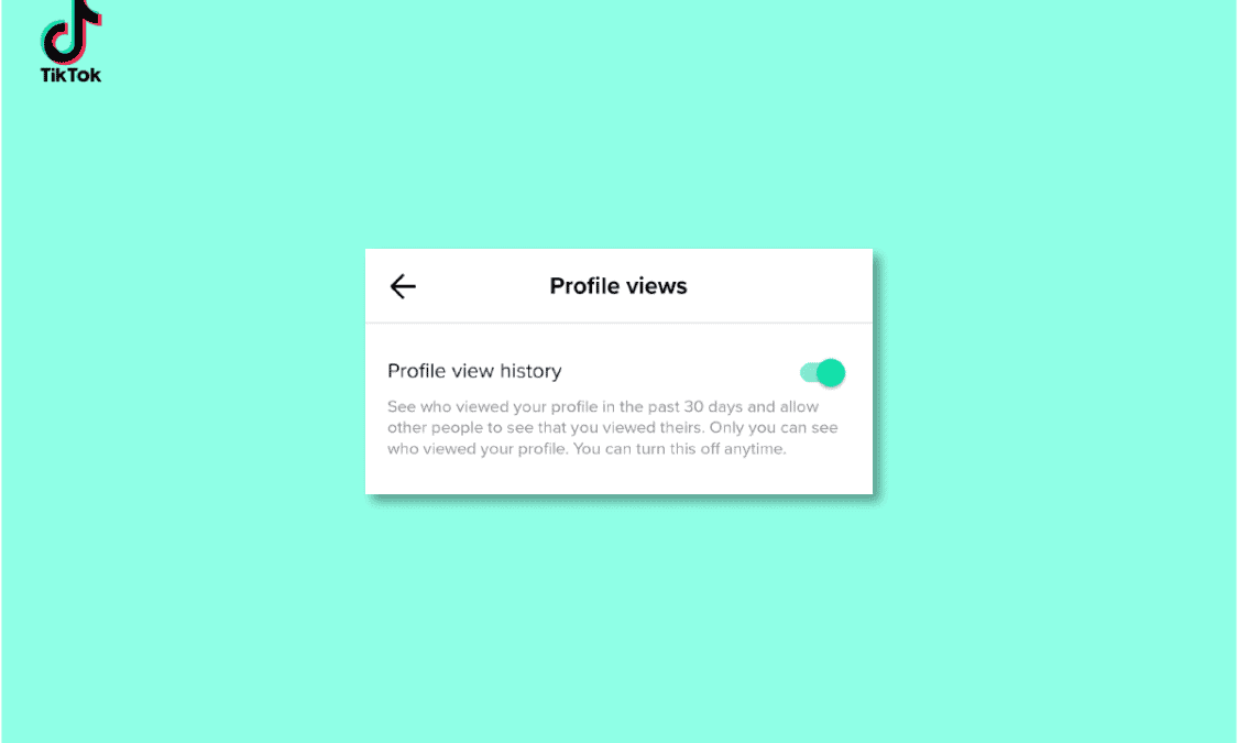 How to Turn On and Off Profile View History on TikTok - TechCult
