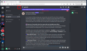 Fix Discord Server Owner Crown Not Showing – TechCult