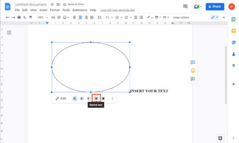 How to Circle a Word in Google Docs – TechCult