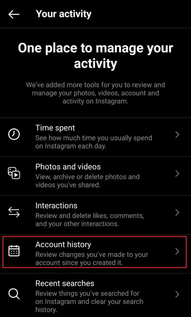 How Old is My Instagram Account? – TechCult