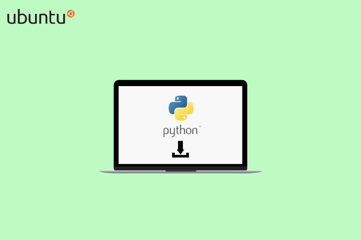 How To Install Python In Ubuntu TechCult