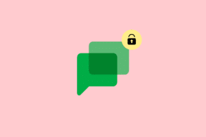 Is Google Chat Safe and Private? – TechCult