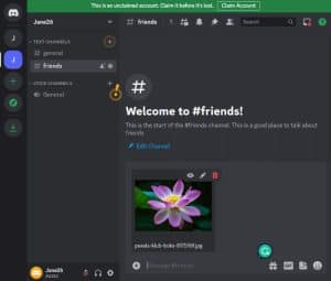 How to Send Pictures on Discord Server – TechCult