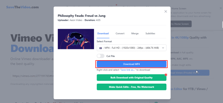 How to Watch Private Vimeo Videos for Free – TechCult