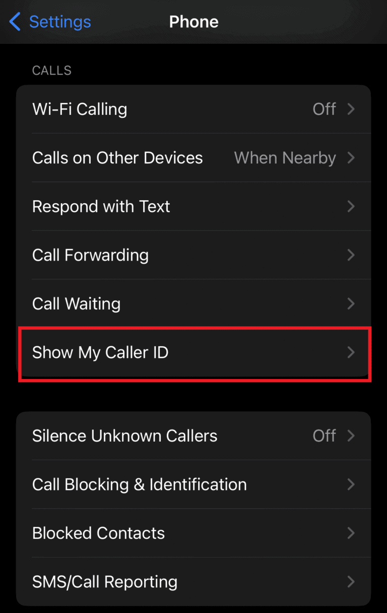 How to Know If Someone Blocked Your Number on iPhone Without Calling ...
