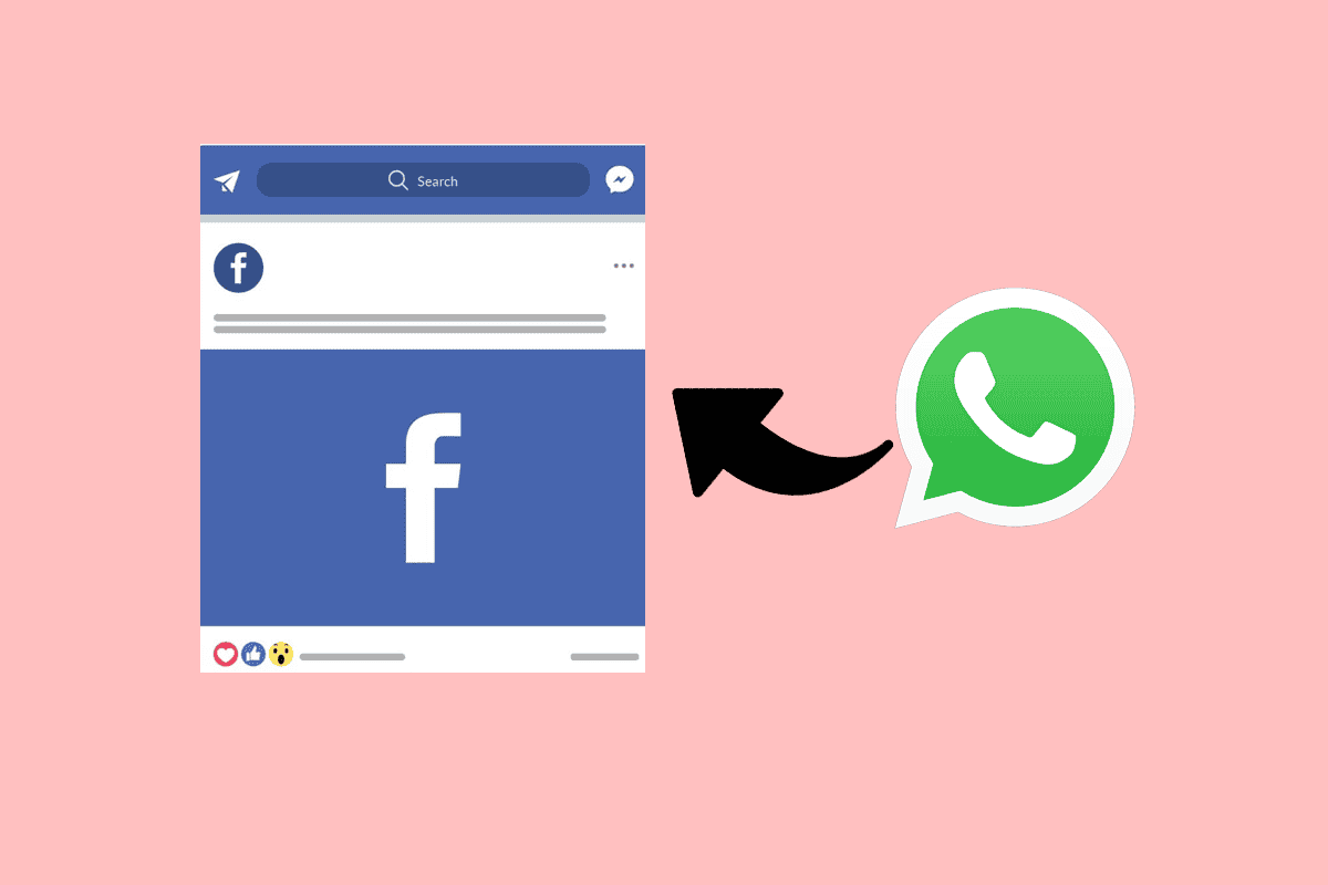 How To Add WhatsApp Button To Facebook Step by step Guide TechCult