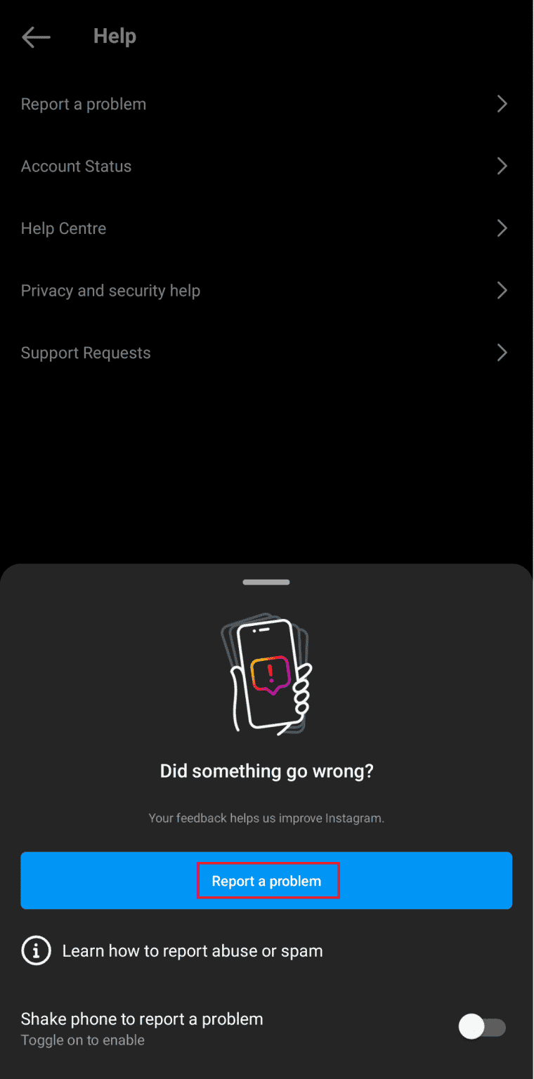 Fix Instagram Feed Not Showing New Posts – TechCult