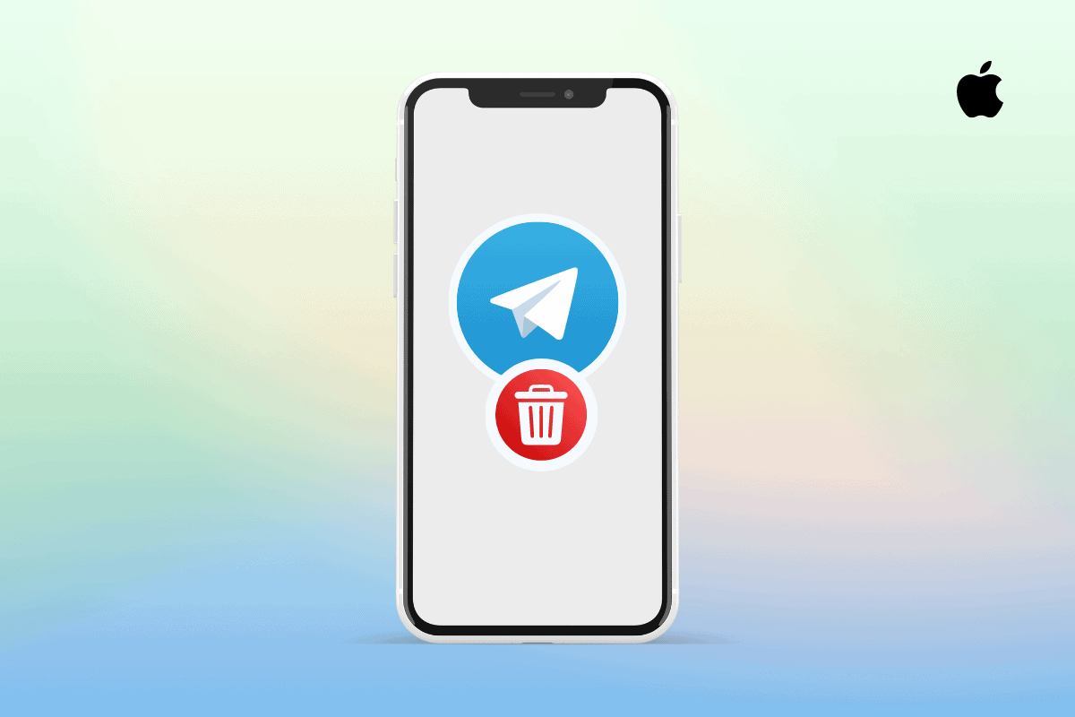 How To Delete Account On Telegram On IPhone TechCult
