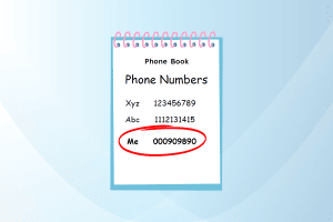How to Find My Old Phone Number – TechCult