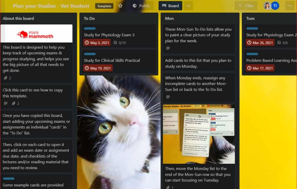 21 Best Trello Board Template Ideas – TechCult