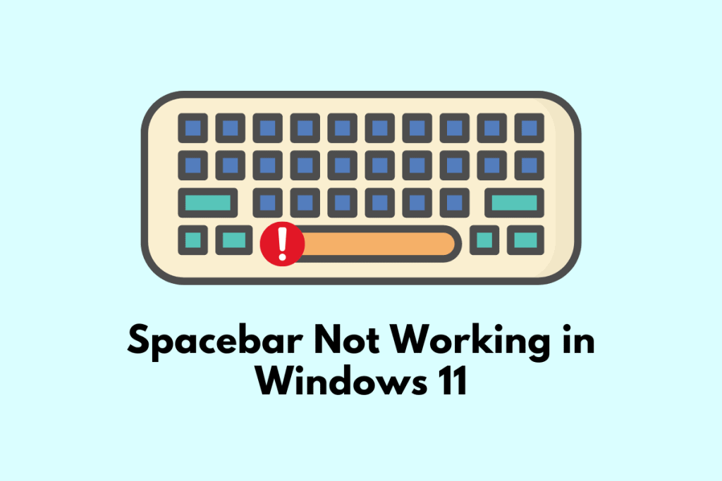 Spacebar Not Working On Windows 11 Here s How To Fix It TechCult