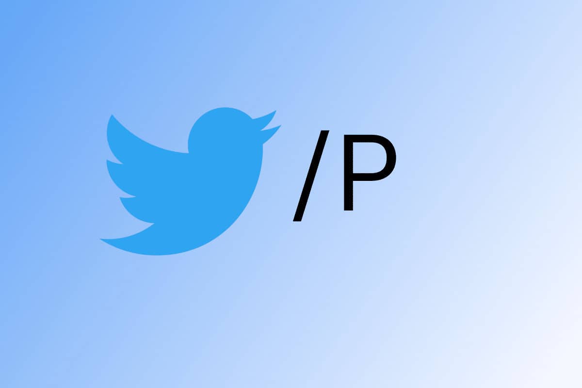 What Does P Mean On Twitter TechCult