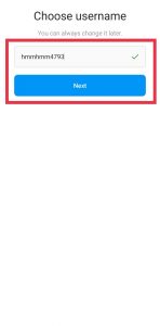 How to Make a Fake Instagram Account – TechCult