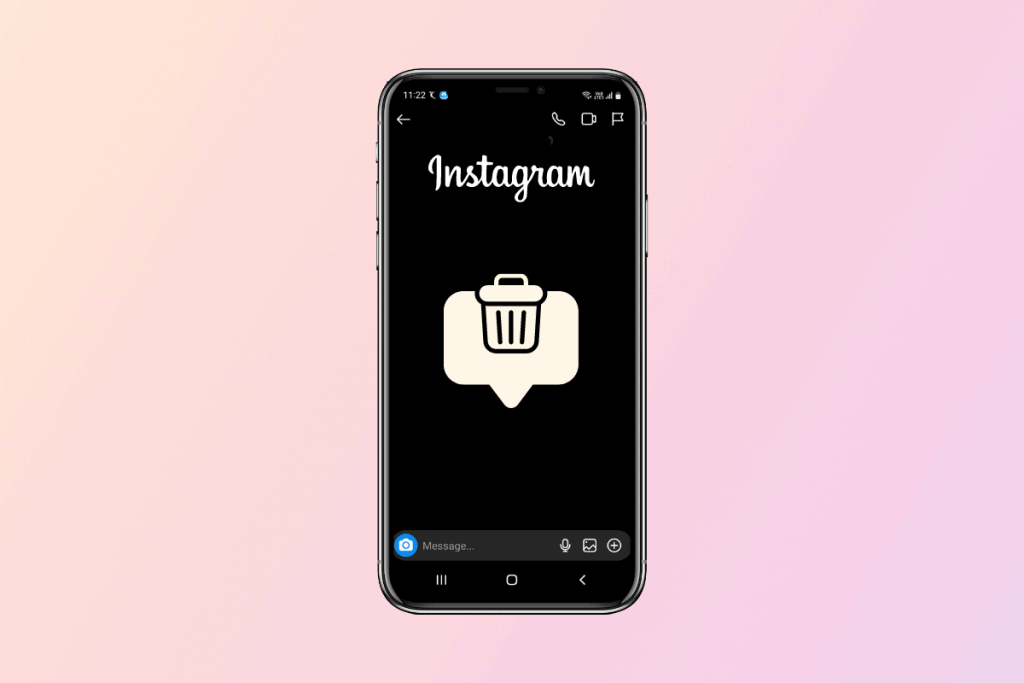 How To Know Who Deleted A Message On Instagram TechCult