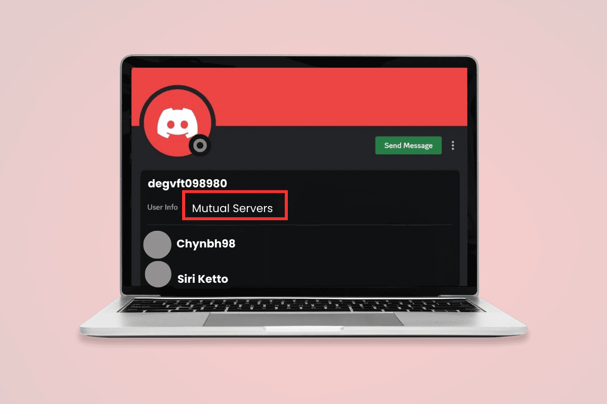 How To See What Discord Servers Someone Is In Unveil Connections