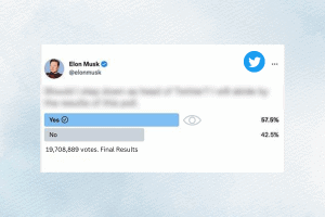 How To See Who Voted On Twitter Poll – TechCult