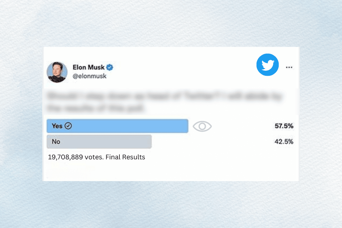 How To See Who Voted On Twitter Poll TechCult
