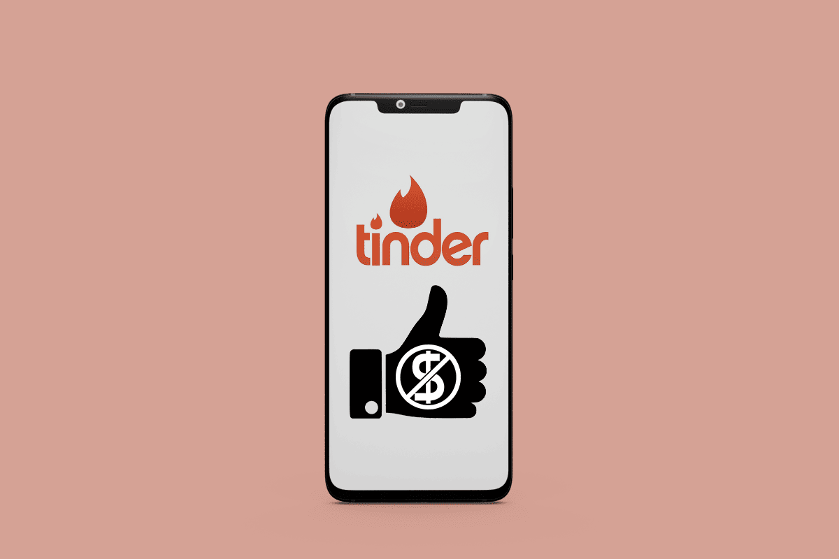 How To See Who Liked You On Tinder Without Paying TechCult
