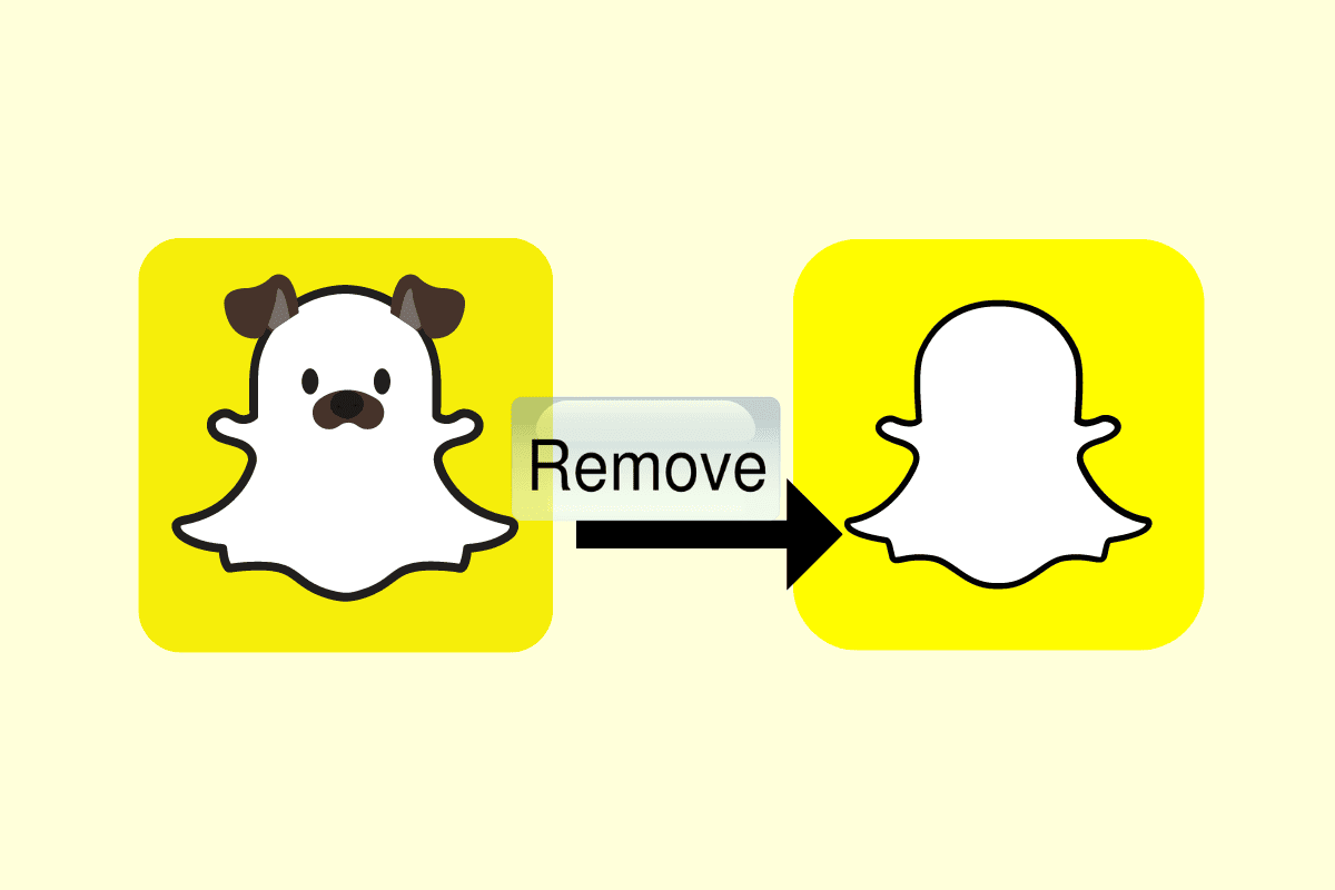 How To Remove A Snapchat Filter TechCult