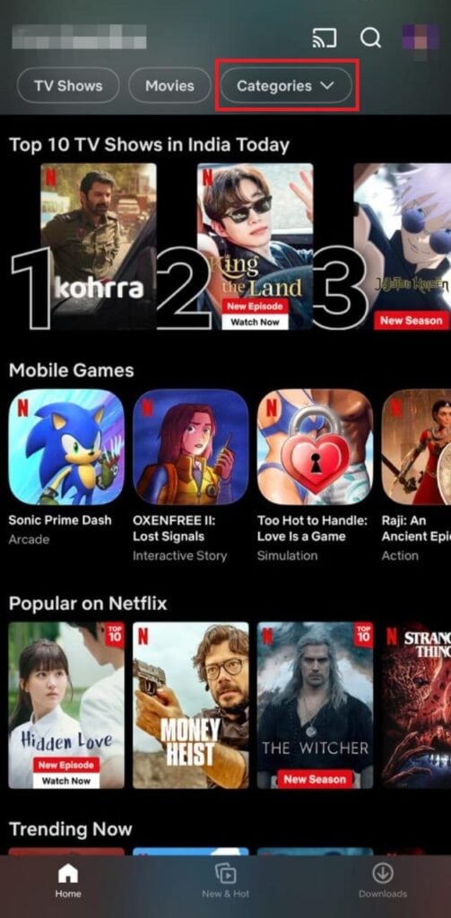 How to Find All Anime Titles on Netflix – TechCult