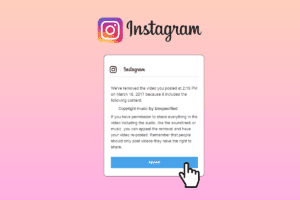 How to Appeal Blocked Video on Instagram – TechCult