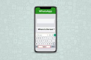 How to Send Empty Message on WhatsApp iPhone – TechCult