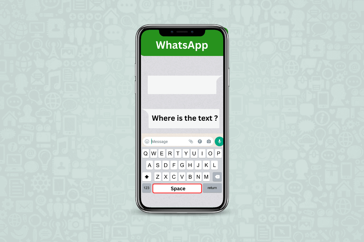 How To Send Empty Message On WhatsApp IPhone TechCult