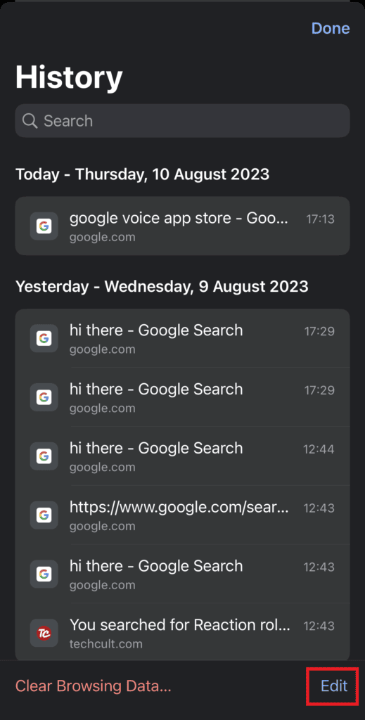 8 Ways to Fix Google Voice Search Not Working on iPhone – TechCult