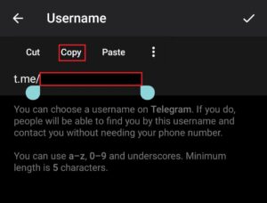 How to Get My Telegram Profile Link – TechCult