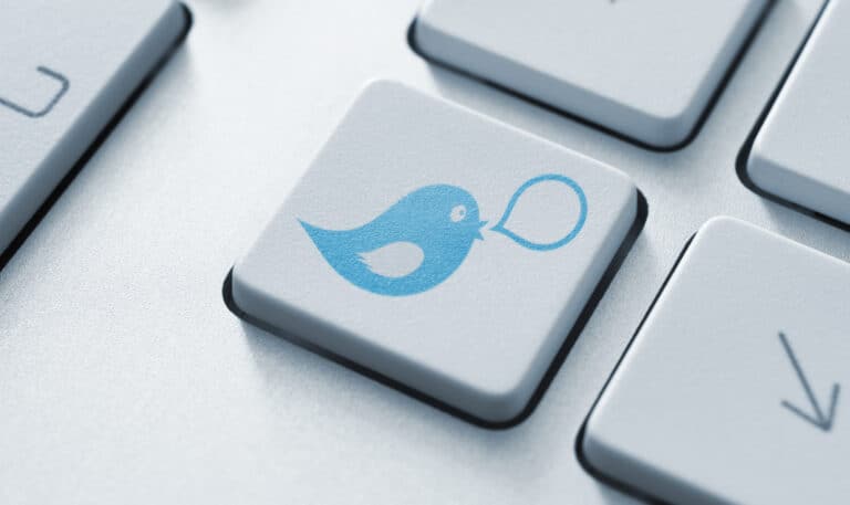 6 Ways to View Someone's Protected Tweets Without Following Them – TechCult