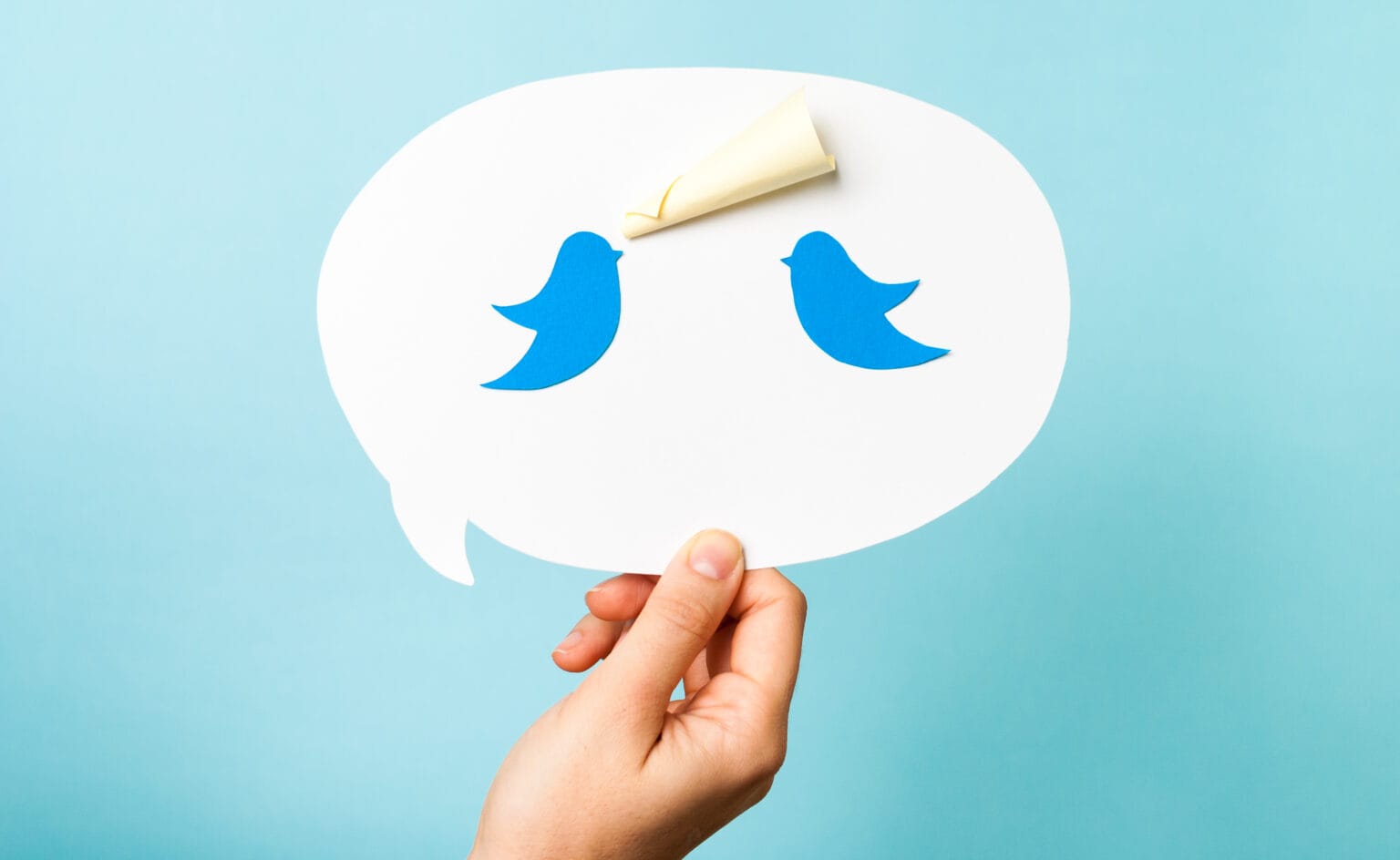 6 Ways to View Someone's Protected Tweets Without Following Them – TechCult