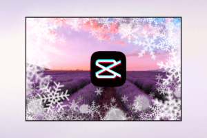 How to Use Freeze Frame on CapCut – TechCult