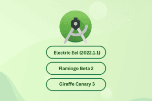 Android Studio Versions List: Electric Eel to Hedgehog – TechCult