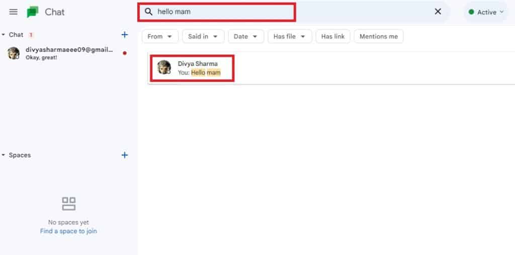 How to Use Updated Google Chat Search Filters (2023) – TechCult