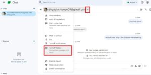 How to Use Updated Google Chat Search Filters (2023) – TechCult