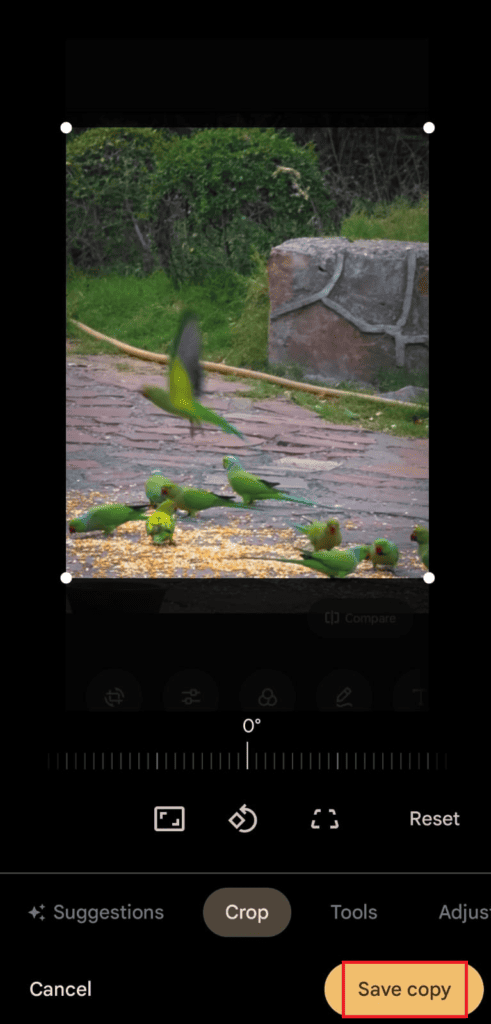 How to Resize a Photo on Android – TechCult