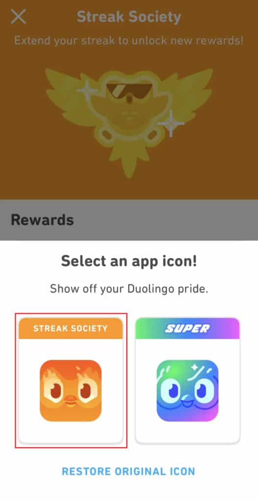 How to Change Duolingo App Icon on Android – TechCult