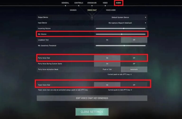 How to Stream Valorant Voice Chat on Discord – TechCult