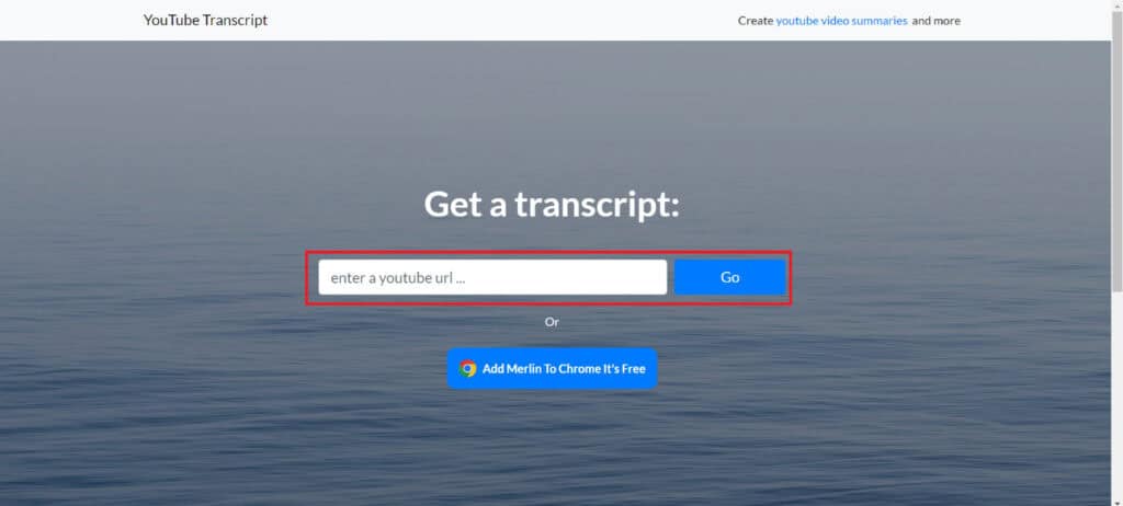 How to Get Transcript for YouTube Video – TechCult