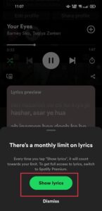How to View Lyrics on Spotify – TechCult