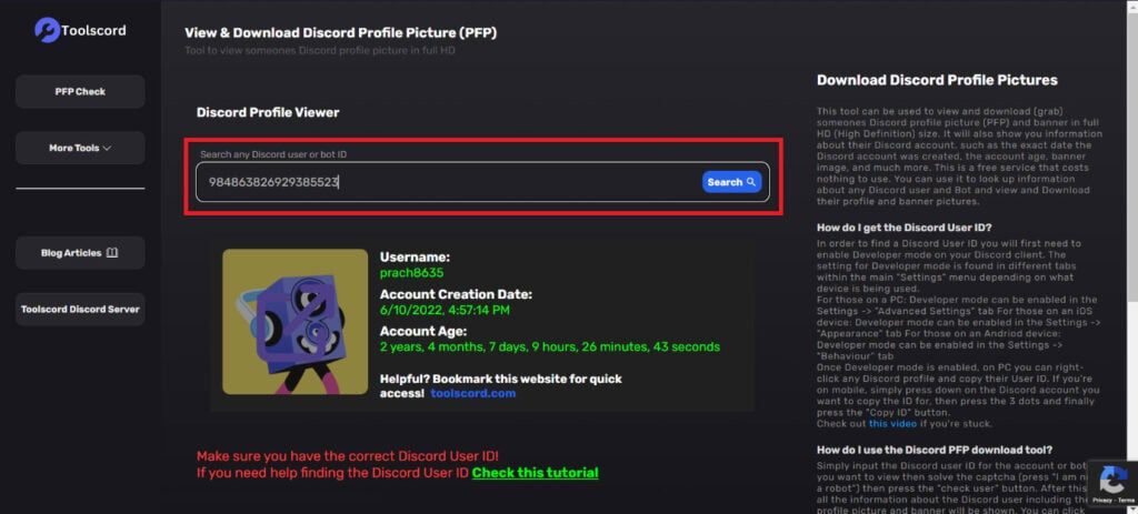 How to Download a Discord Profile Picture – TechCult