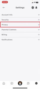 How to Enable Voice Chat in Roblox – TechCult